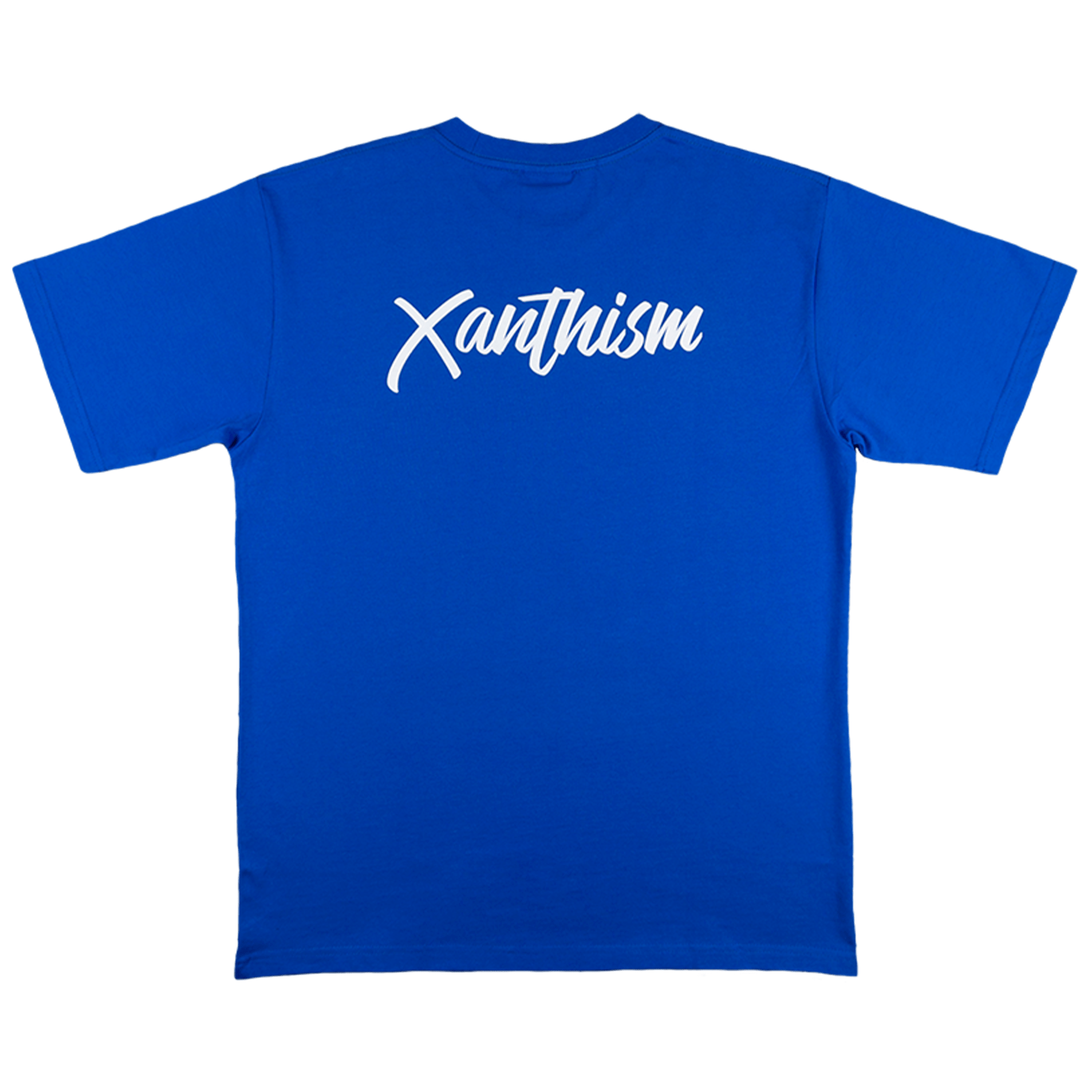 r9 blue – XANTHISM